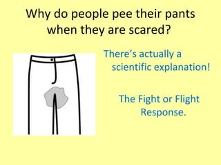 Endocrine System Notes Blevins 7th Grade Science | PPT