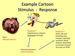 Endocrine System Notes Blevins 7th Grade Science | PPT
