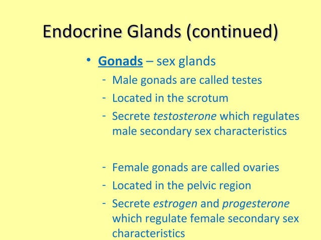 Endocrine System Notes Blevins 7th Grade Science | PPT