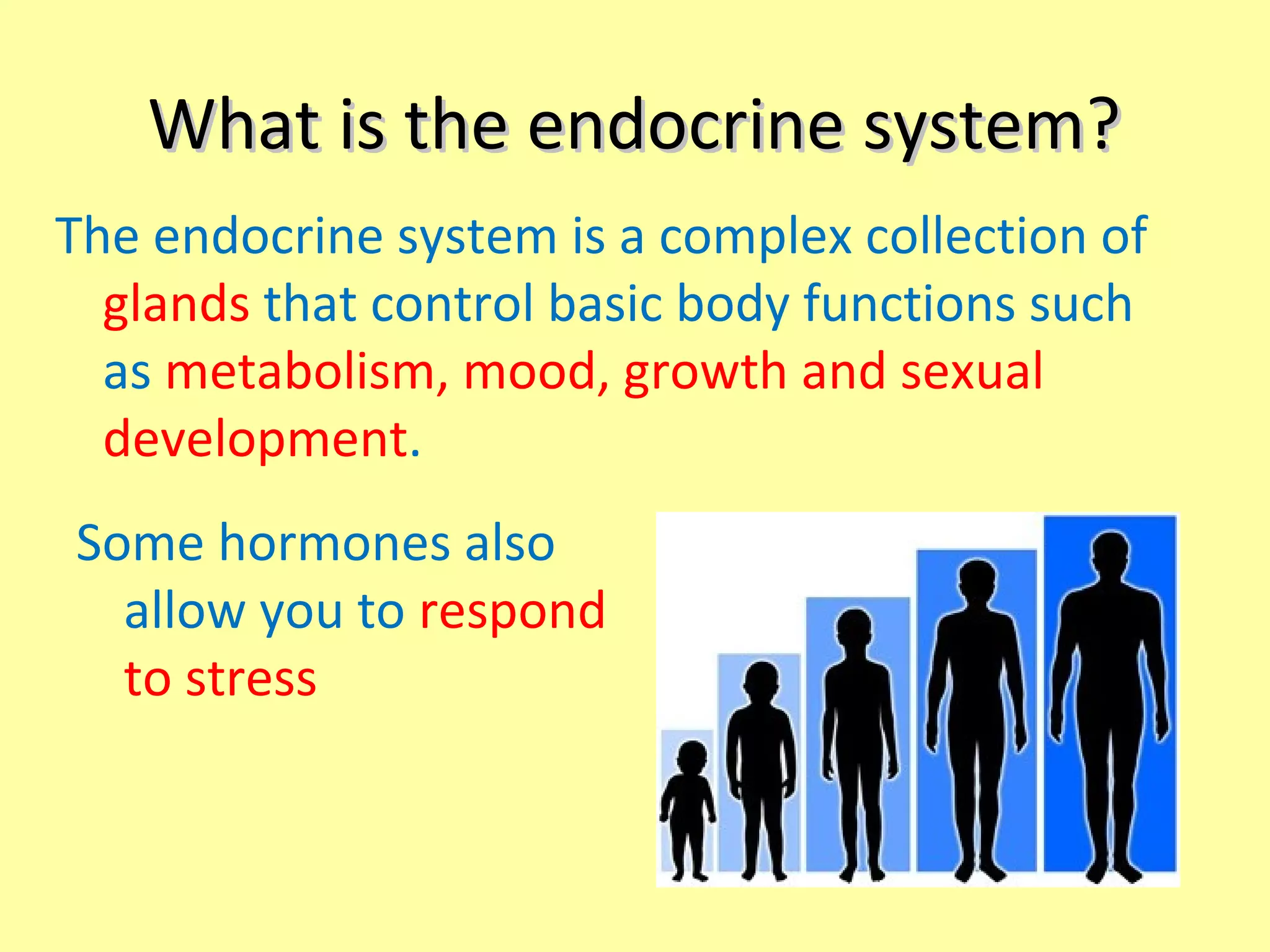 Endocrine System Notes Bryant 7th Grade Science | PPT