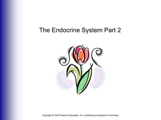 Endocrine system pt 2 | PPTX