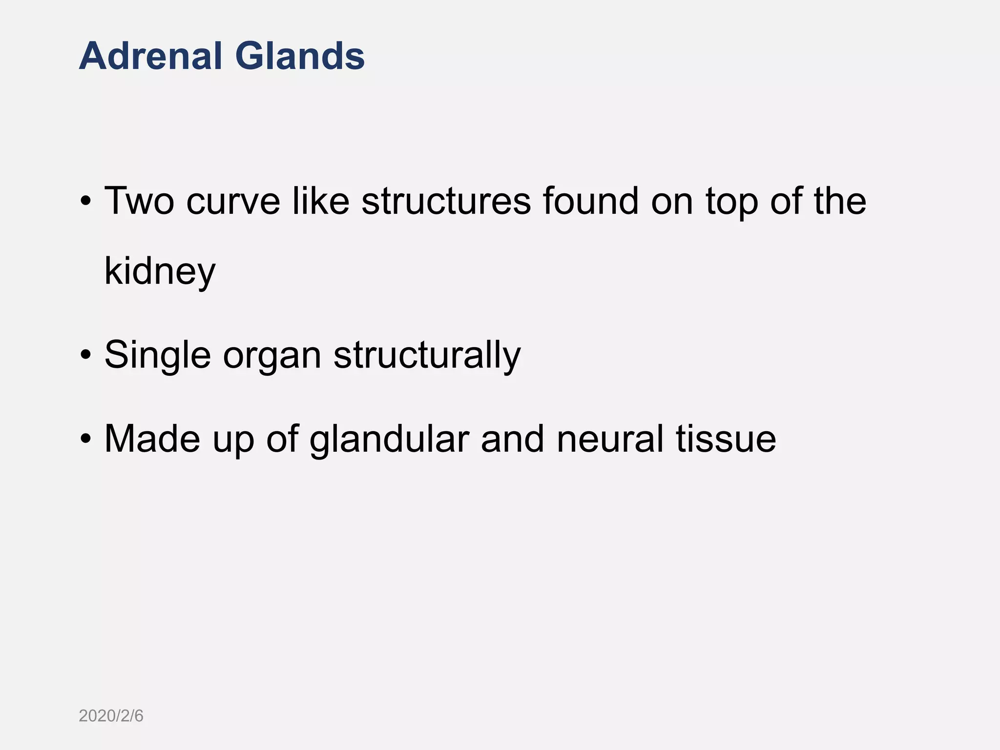Pearson's Endocrine System | PPTX