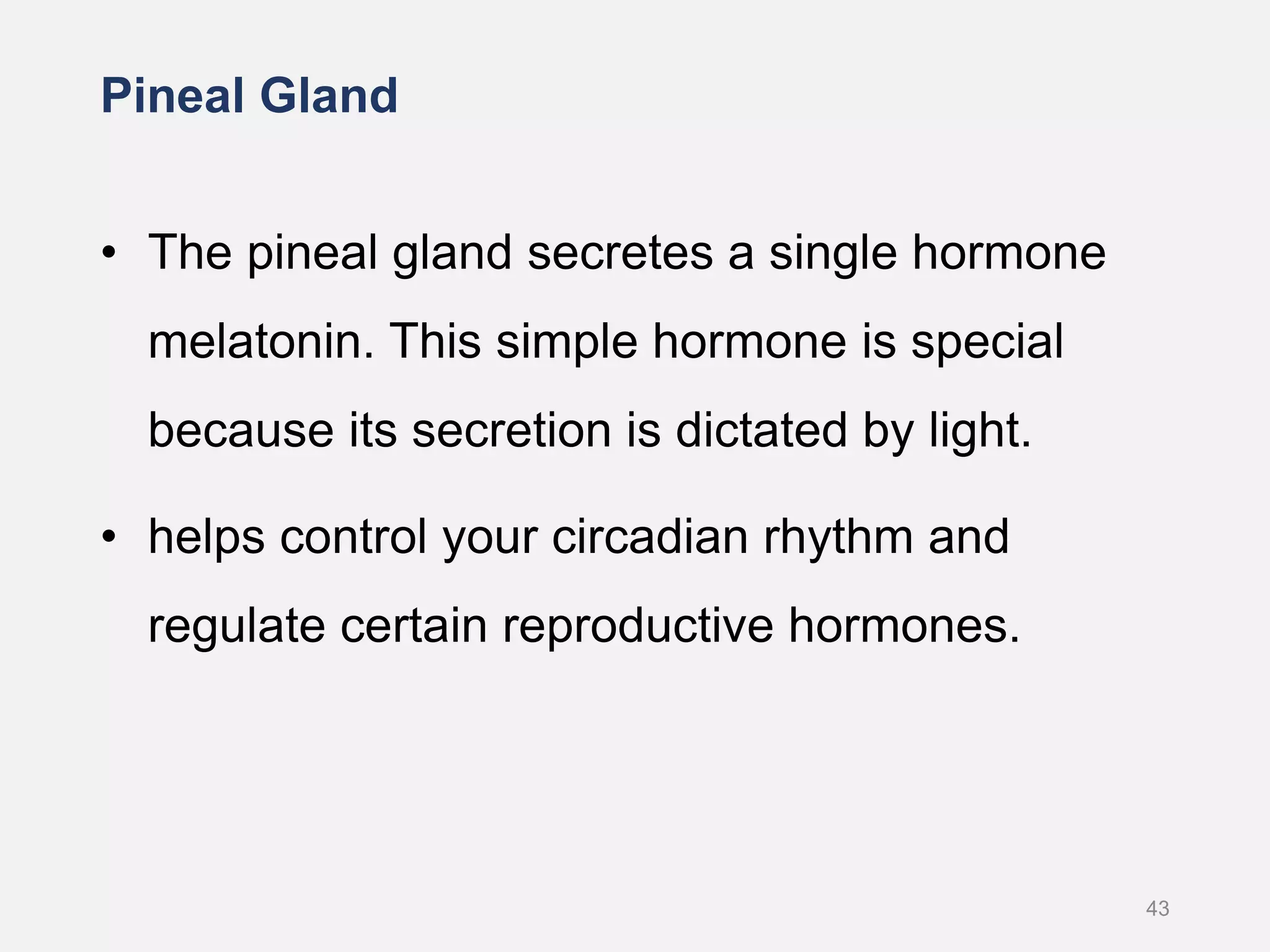 Pearson's Endocrine System | PPTX