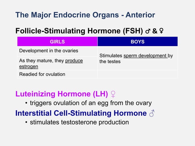Pearson's Endocrine System | PPTX | Endocrine and Metabolic Diseases ...