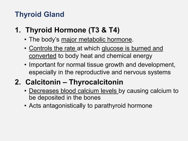 Pearson's Endocrine System | PPTX | Endocrine and Metabolic Diseases ...