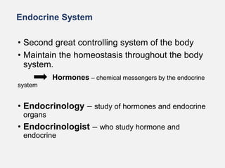 Pearson's Endocrine System | PPTX