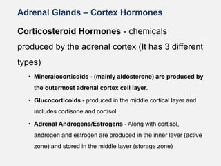 Pearson's Endocrine System | PPTX