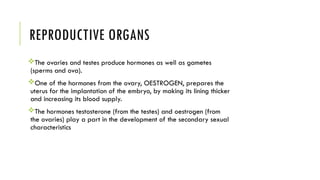 ENDOCRINE SYSTEMS IN HUMANS - Hormonal Coordinationpptx | PPTX