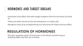 ENDOCRINE SYSTEMS IN HUMANS - Hormonal Coordinationpptx | PPTX ...
