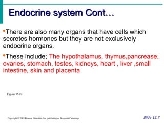 Endocrine system slides posterior and anterior | PPT