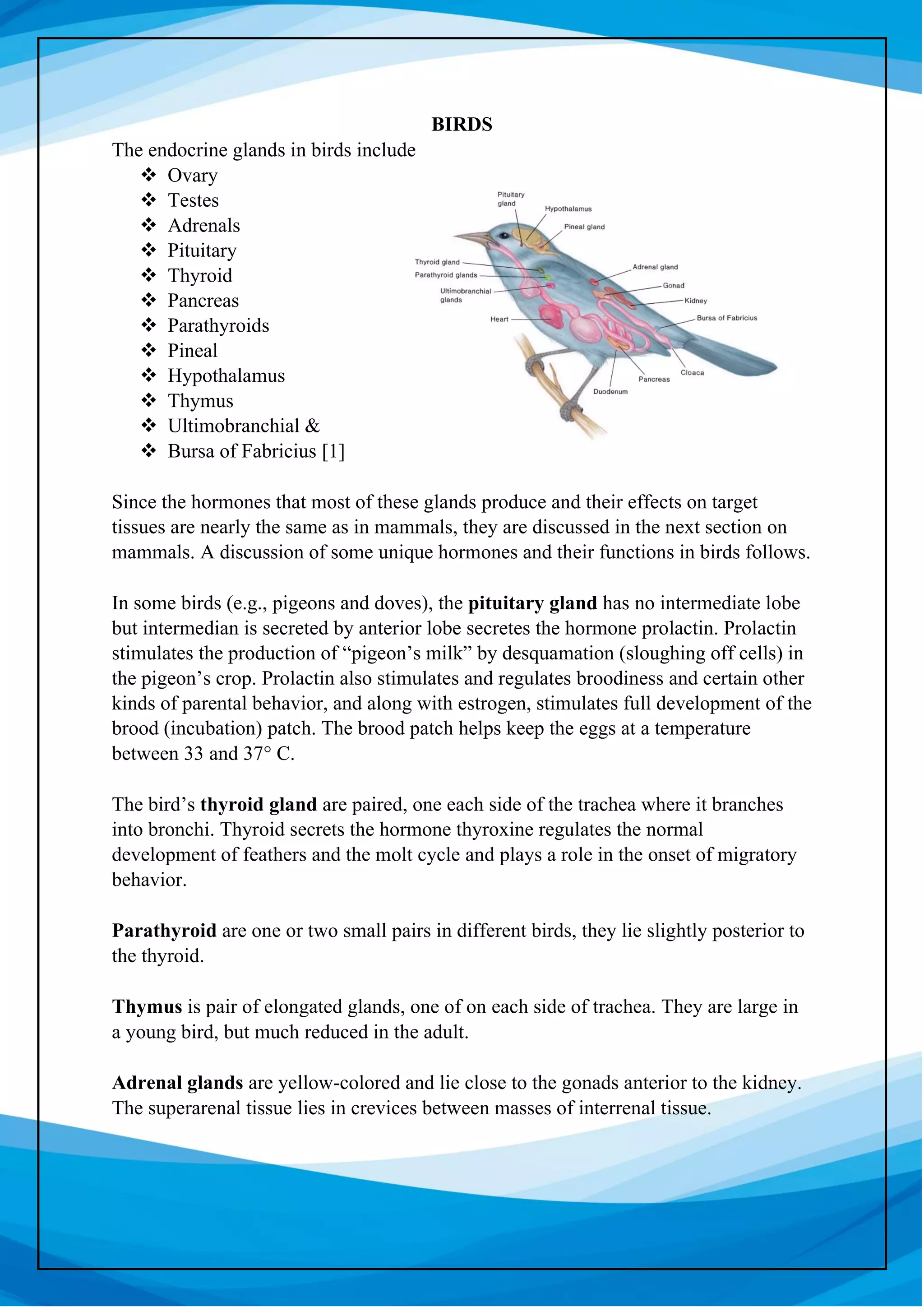 Endocrine systems of birds | PDF