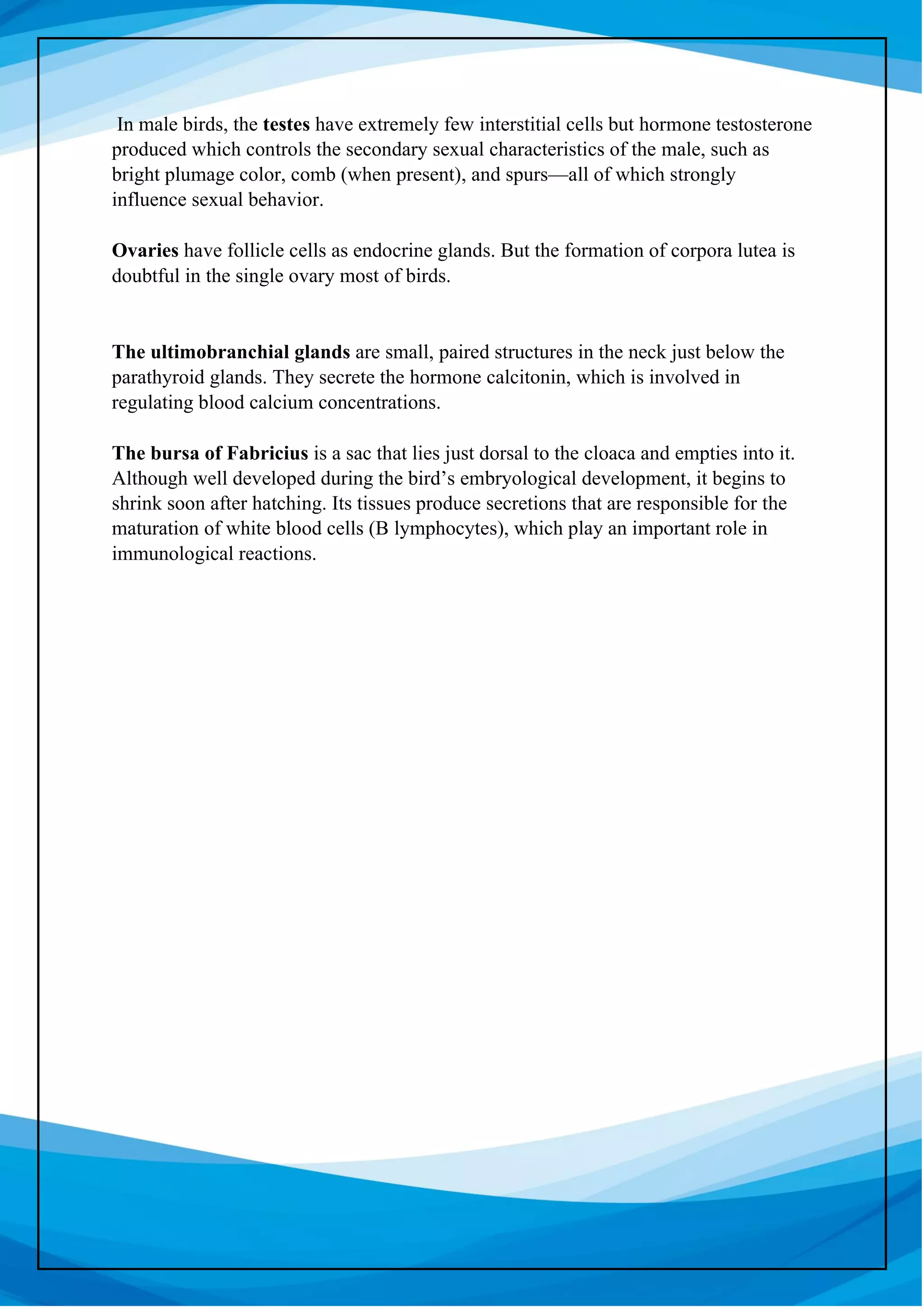 Endocrine systems of birds | PDF