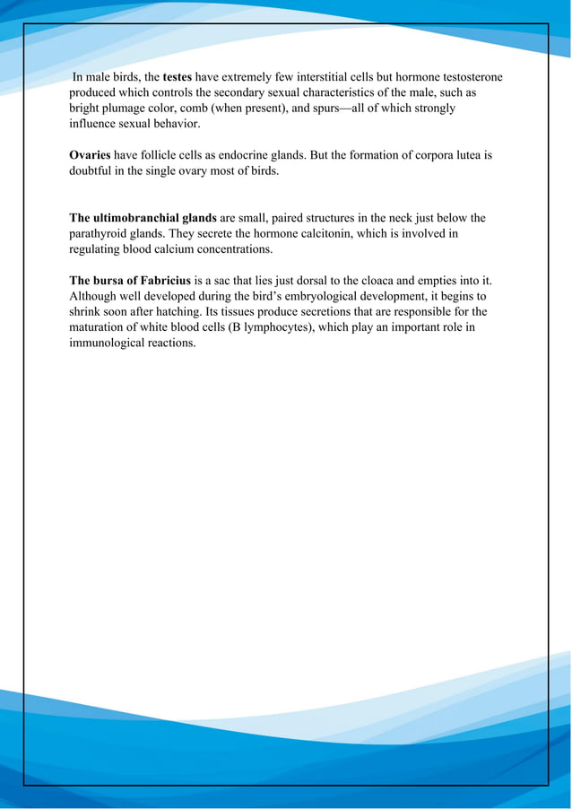 Endocrine systems of birds | PDF | Thyroid Disorders | Endocrine and ...