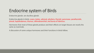 Endocrine systems of Birds and mammals.pptx