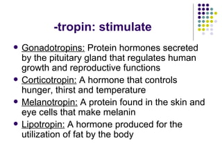 Endocrine system suffixes | PPT