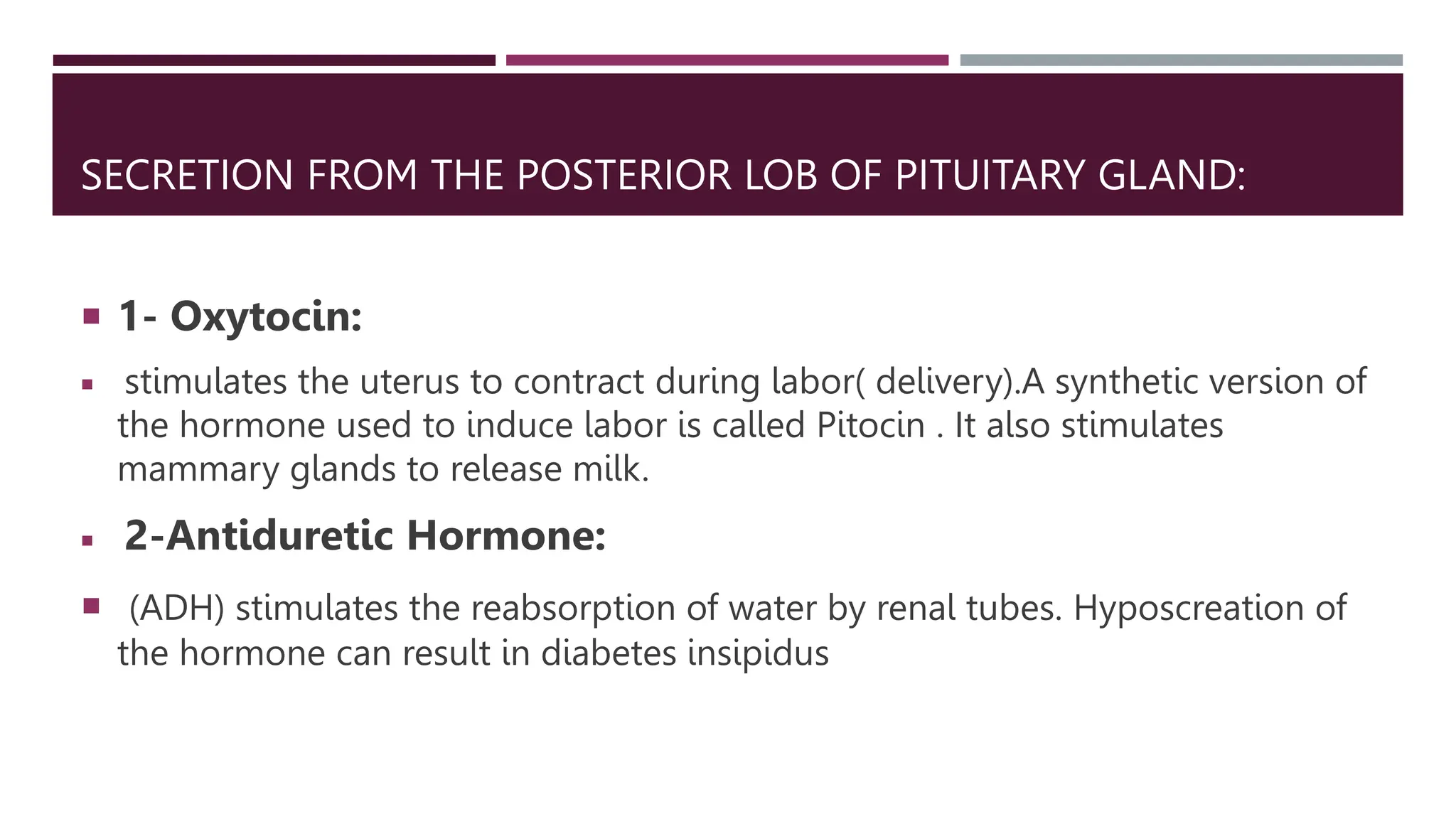 Endocrine system anatomy presentation pp | PPTX