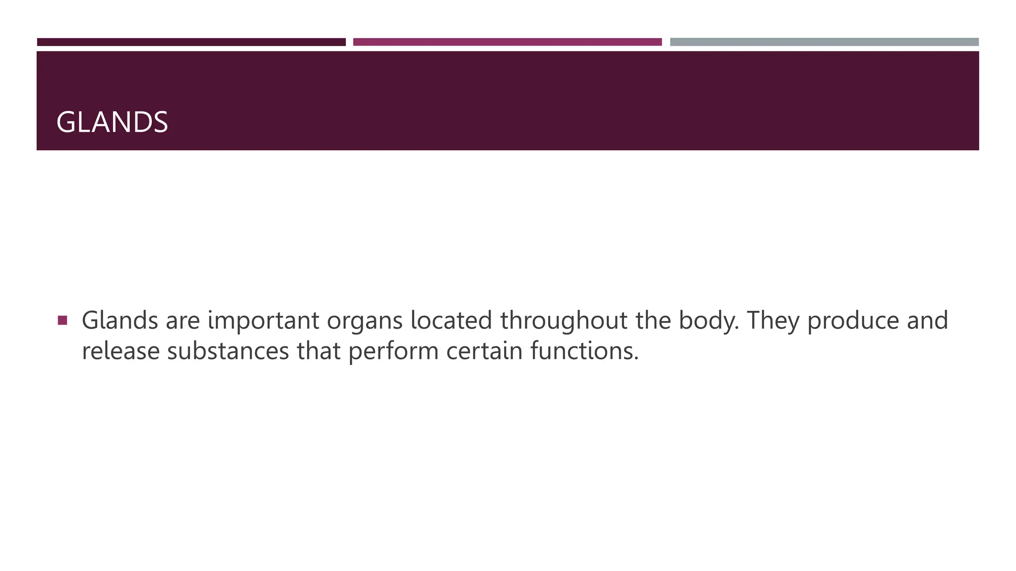 Endocrine system anatomy presentation pp | PPTX