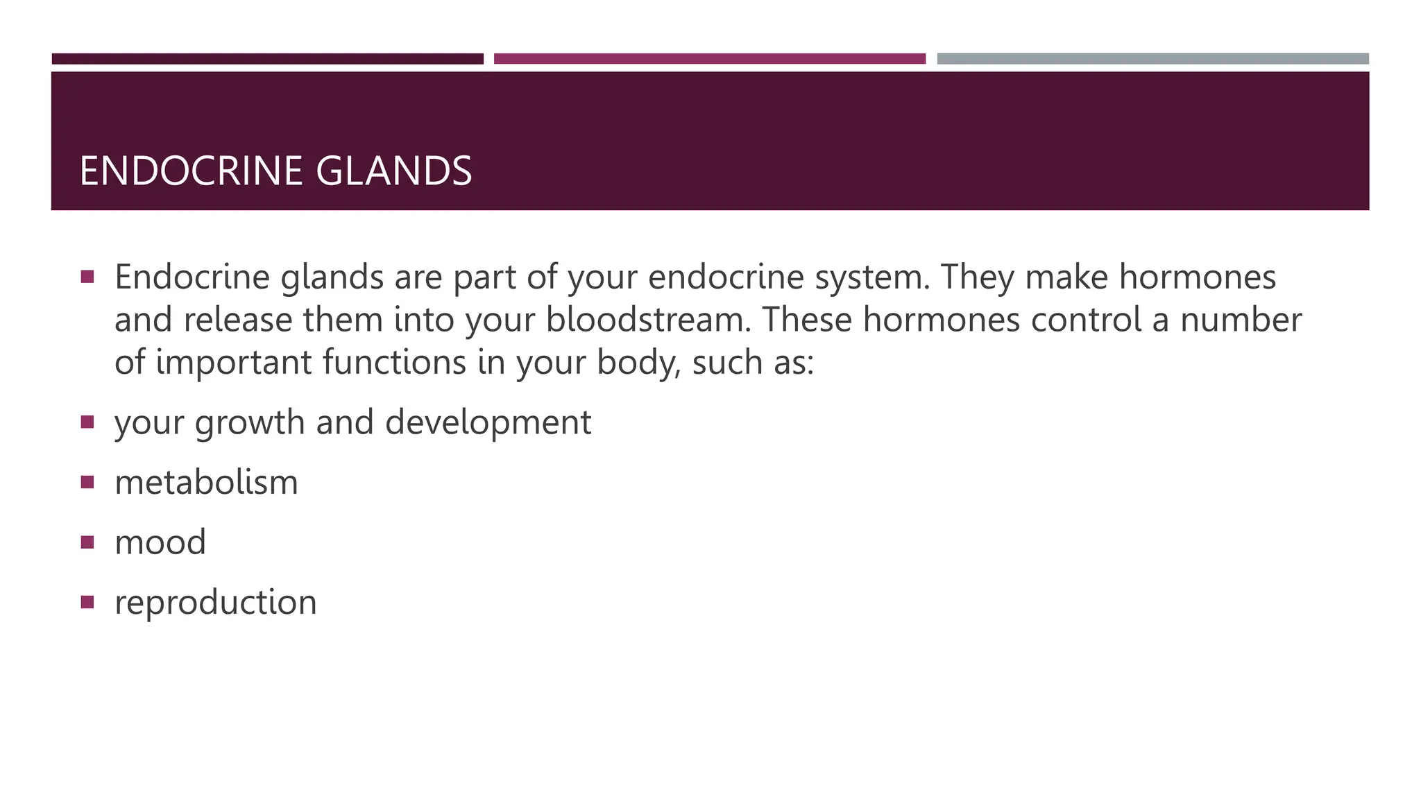 Endocrine system anatomy presentation pp | PPT
