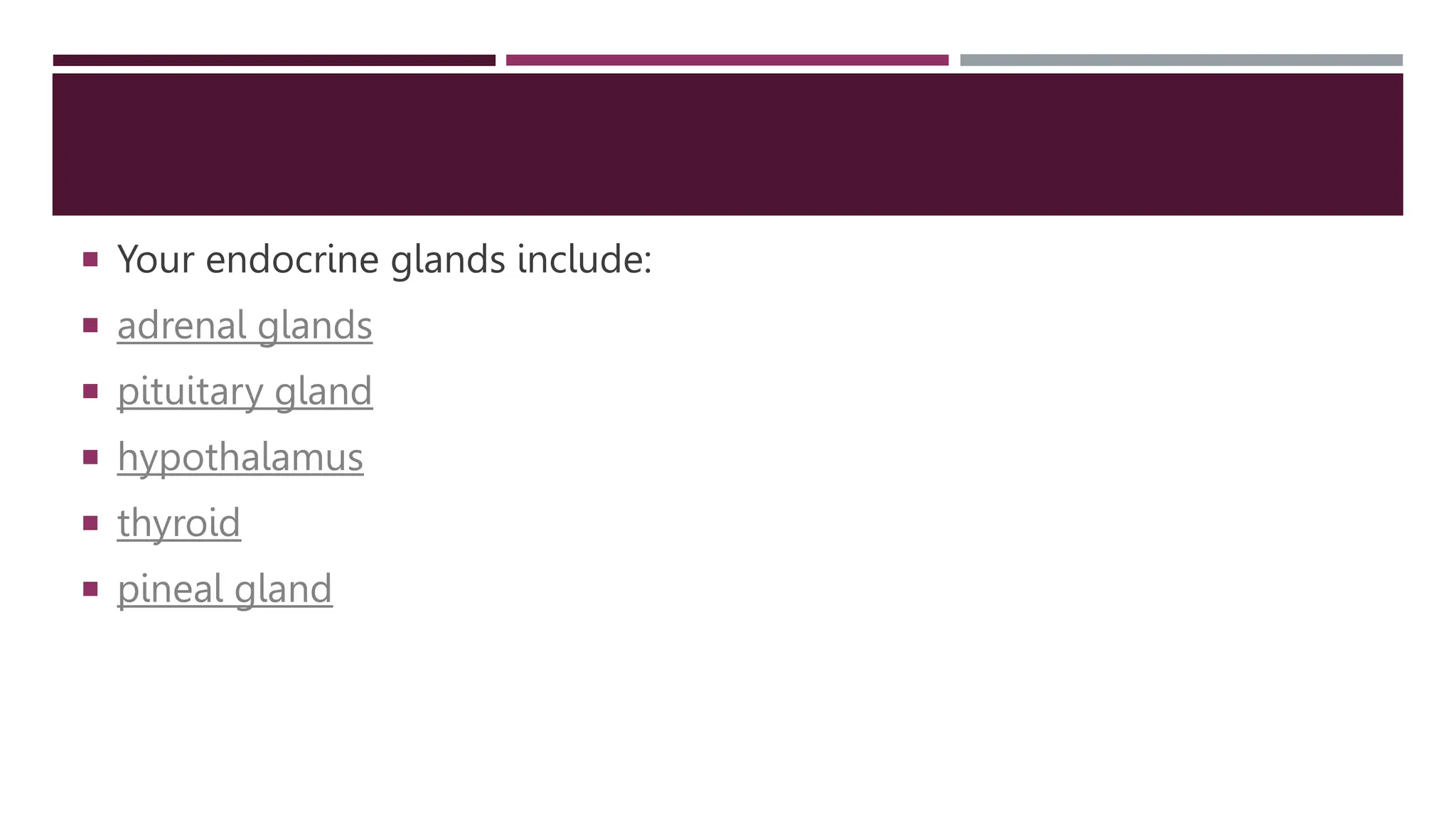 Endocrine system anatomy presentation pp | PPTX