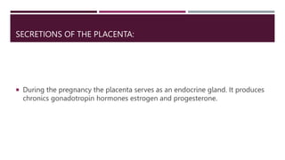 Endocrine system anatomy presentation pp | PPT