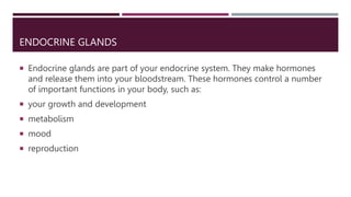 Endocrine system anatomy presentation pp | PPT