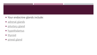 Endocrine system anatomy presentation pp | PPTX