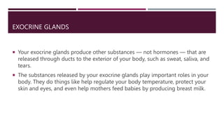 Endocrine system anatomy presentation pp | PPTX