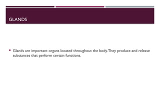 Endocrine system anatomy presentation ps | PPTX