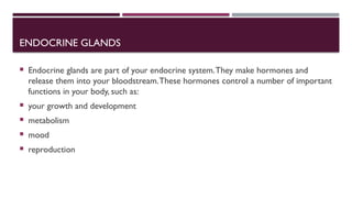 Endocrine system anatomy presentation ps | PPTX
