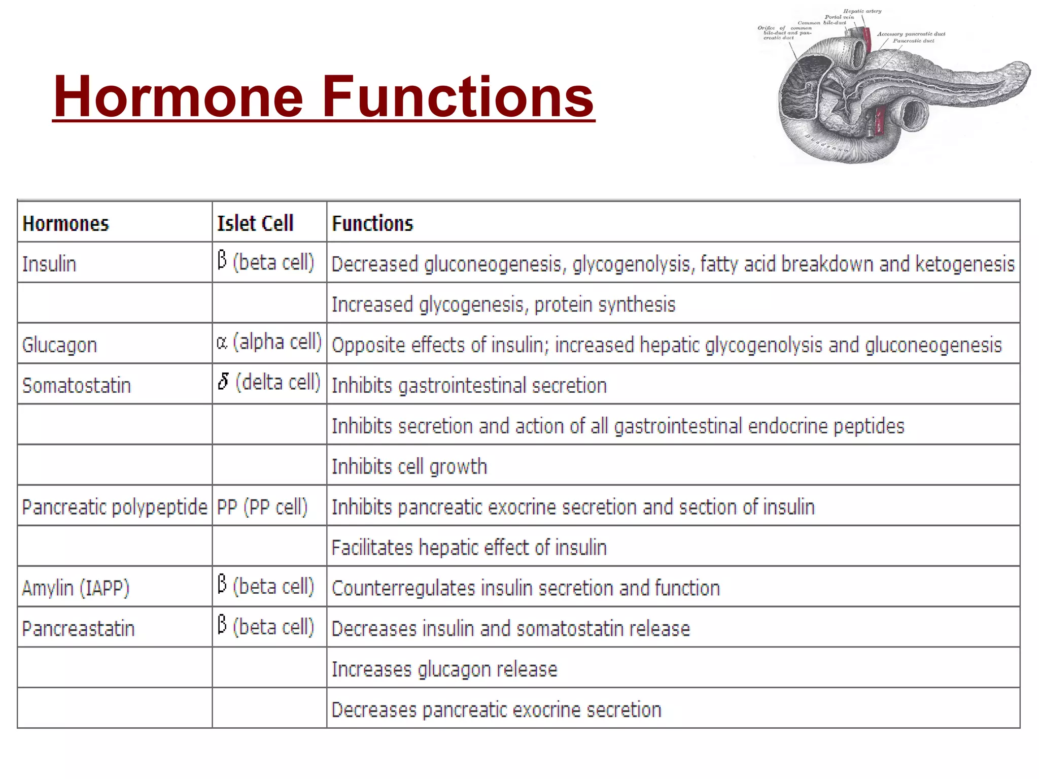 Endocrine Tumors Of The Pancreas | PPT