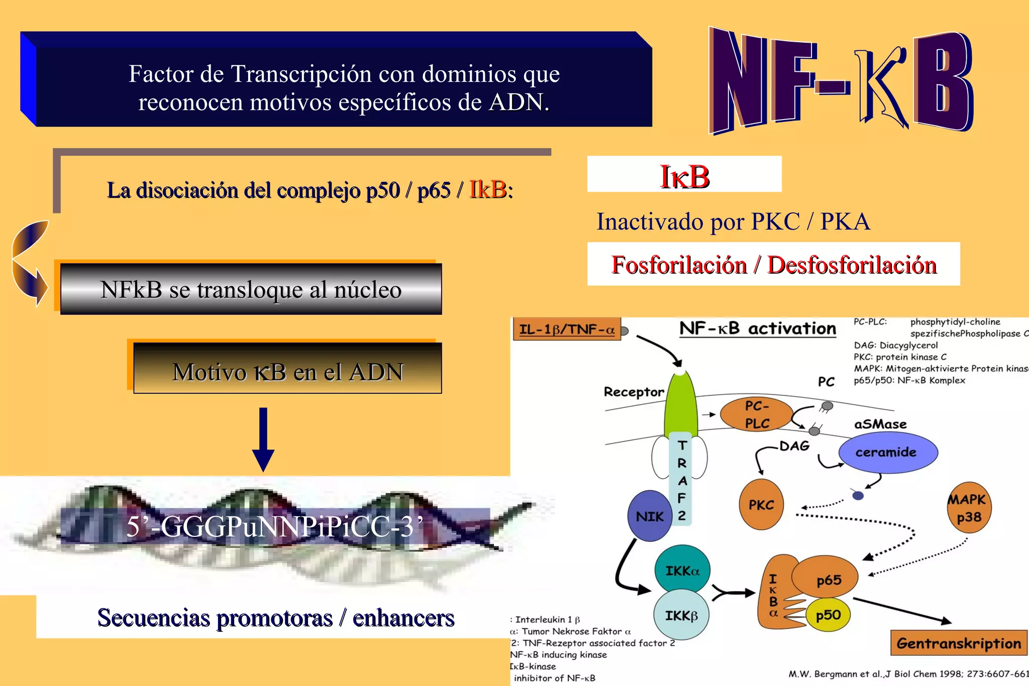 SISTEMA ENDOCRINO | PPT
