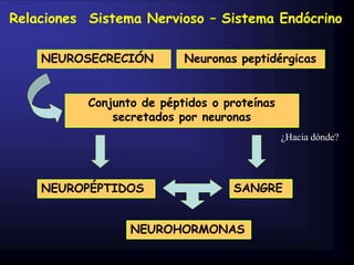 Endocrino 1.pptx