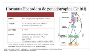 Hipotálamo | PPTX