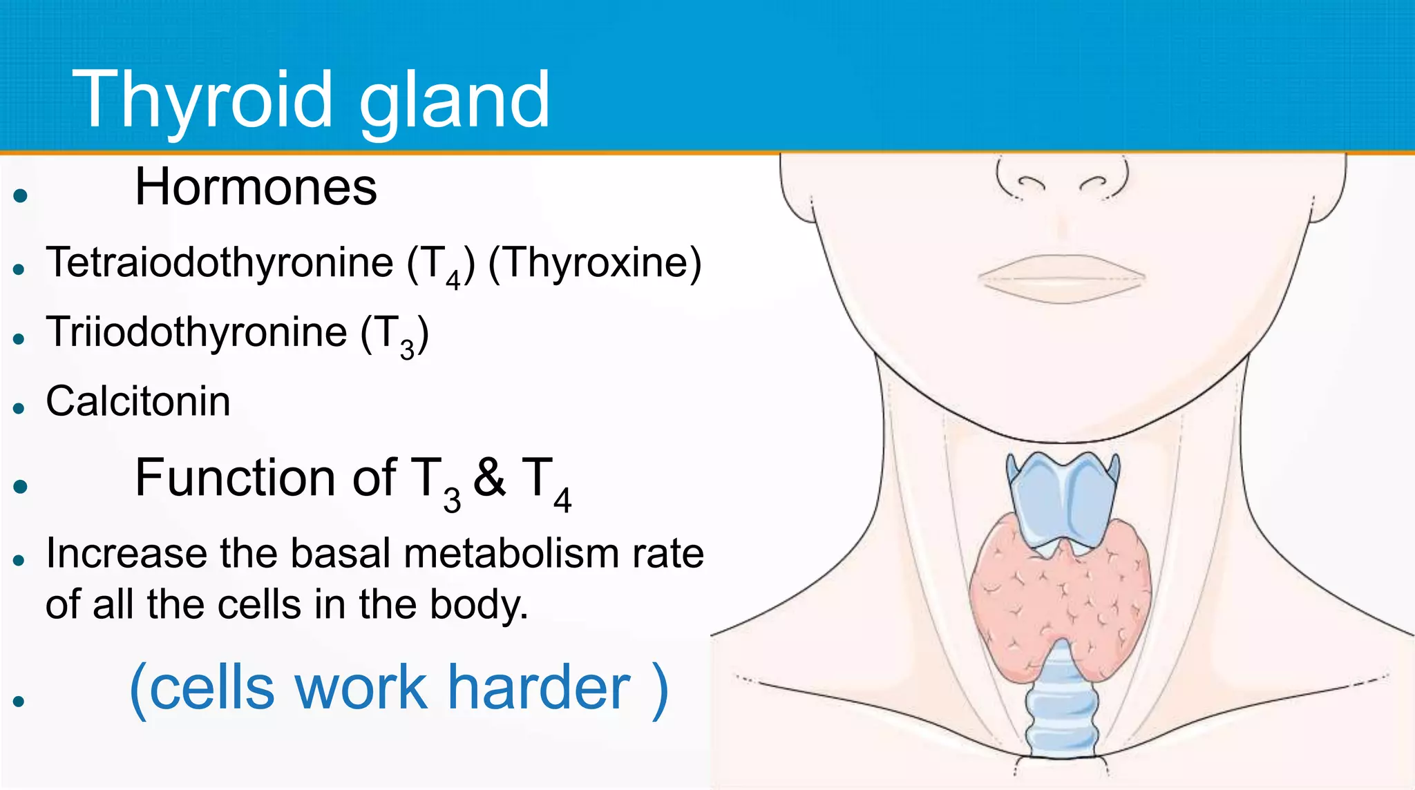 Common Endocrine Diseases With Some Dental Aspects Ppt