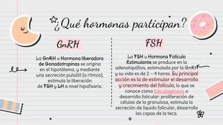 endocrinologia del ciclo estral.pptx