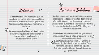endocrinologia del ciclo estral.pptx