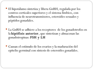 Endocrinologia En La Pubertad | PPT