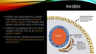 Endocrinological Markers in Gynaecological Tumours.pptx