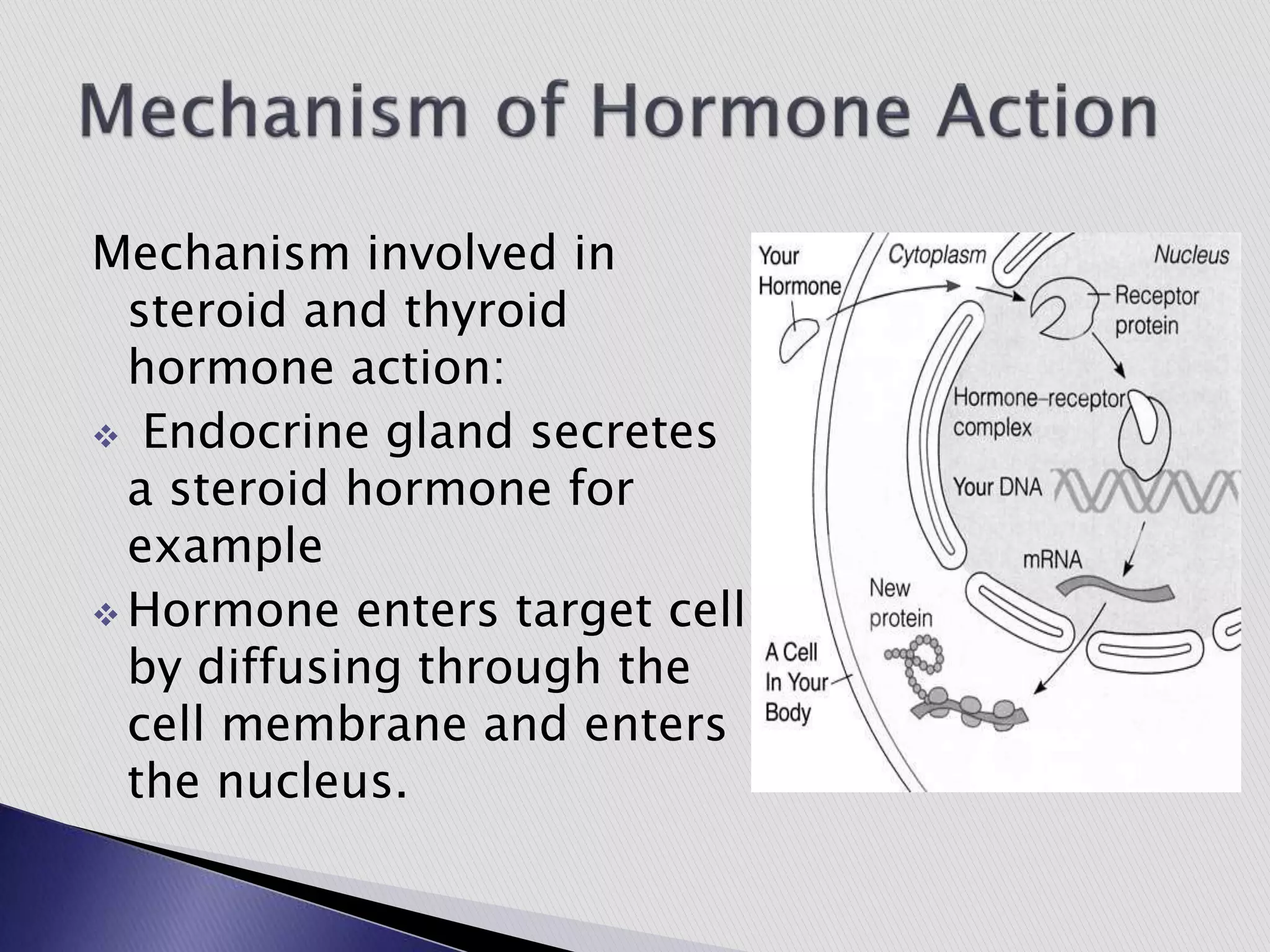 Endocrinology | PPTX