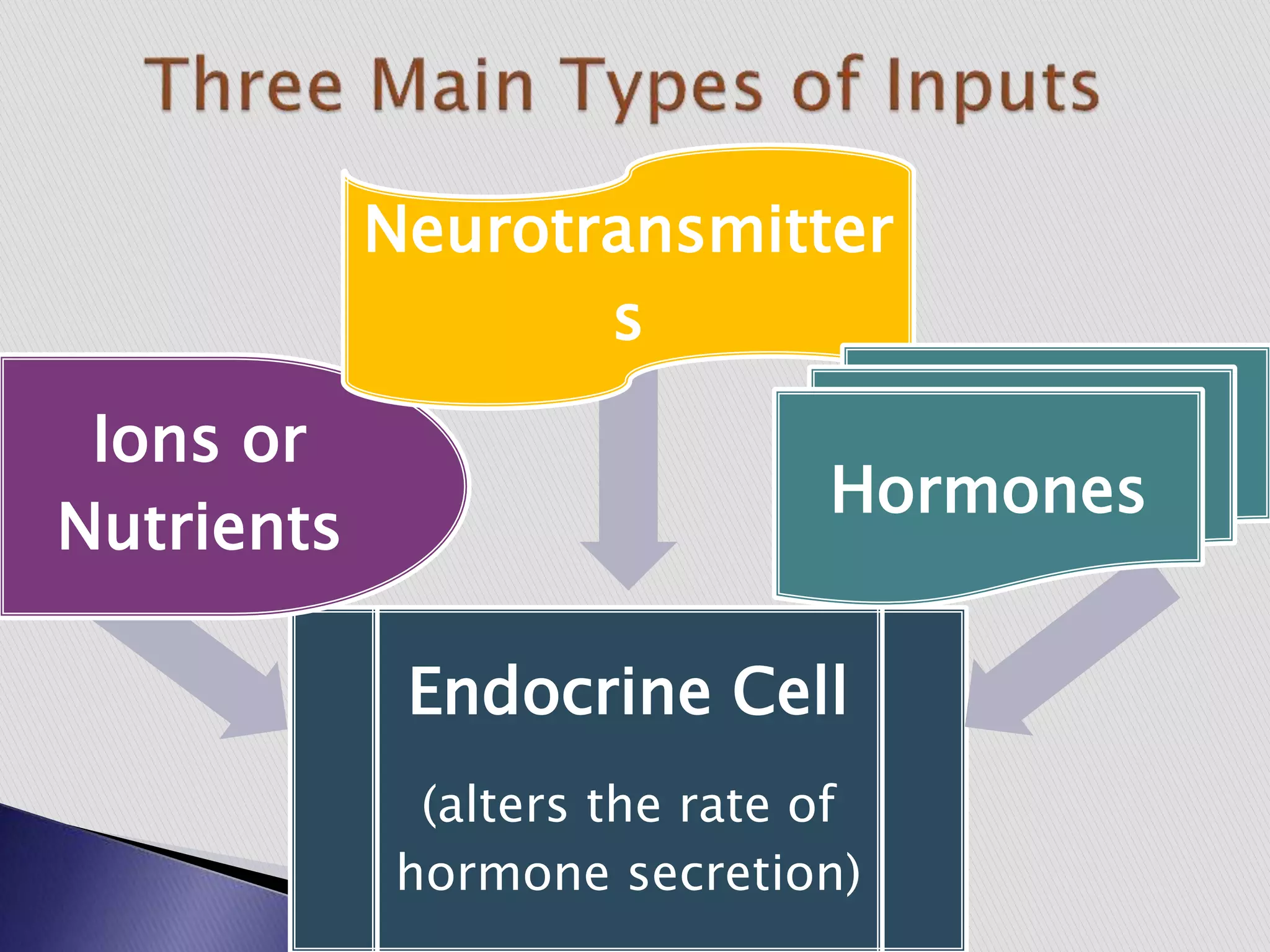 Endocrinology | PPTX