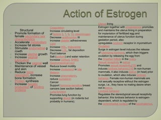 Endocrinology | PPT