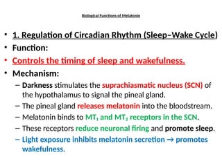 Comprehensive Overview of Pineal Gland, Melatonin, and Serotonin ...