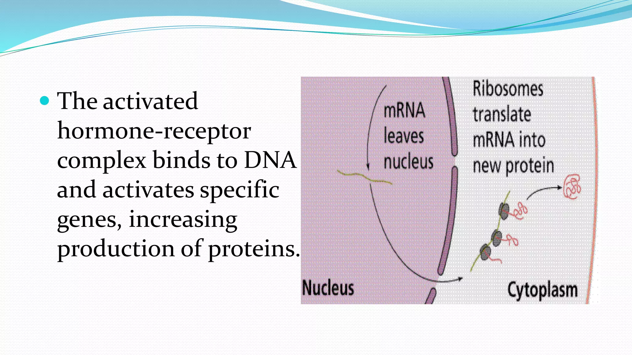 Endocrine System and hormonal feedback mechanisms | PPTX