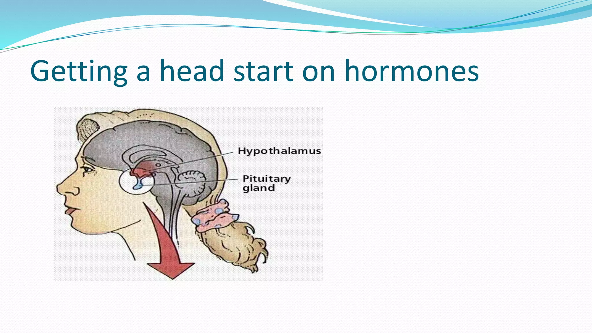 Endocrine System and hormonal feedback mechanisms | PPTX | Endocrine ...