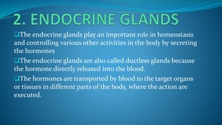Endocrine System and hormonal feedback mechanisms | PPTX