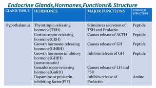 Endocrine System and hormonal feedback mechanisms | PPTX