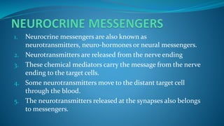 Endocrine System and hormonal feedback mechanisms | PPTX