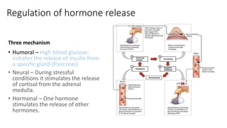 Endocrinology | PPT