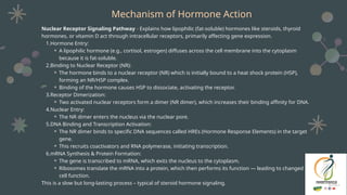 Comprehensive Overview of Endocrinology: Hormones, Glands & Mechanisms ...