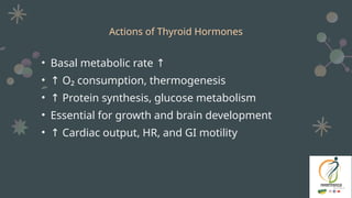 Comprehensive Overview of Endocrinology: Hormones, Glands & Mechanisms ...